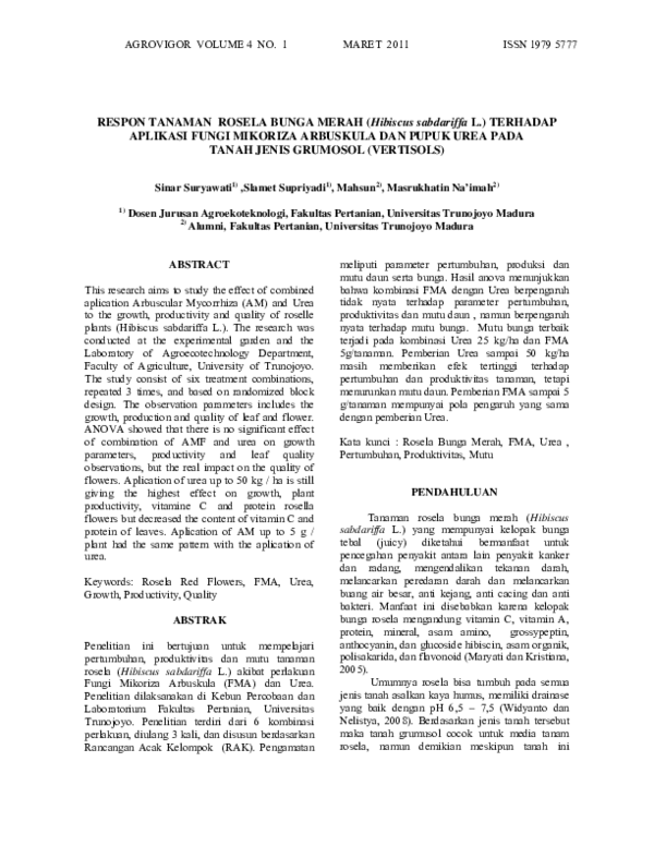 (PDF) RESPON TANAMAN ROSELA BUNGA MERAH (Hibiscus sabdariffa L.) TERHADAP APLIKASI FUNGI ...