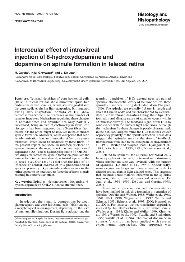 (PDF) Interocular effect of intravitreal injection of 6-hydroxydopamine ...