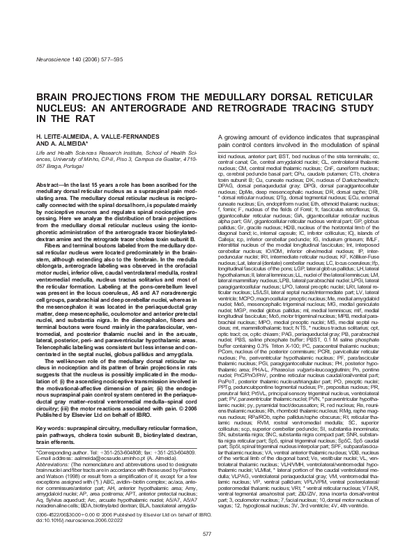 (PDF) Brain projections from the medullary dorsal reticular nucleus: An anterograde and ...