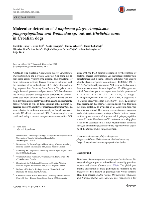 (PDF) Molecular detection of Anaplasma platys, Anaplasma ...