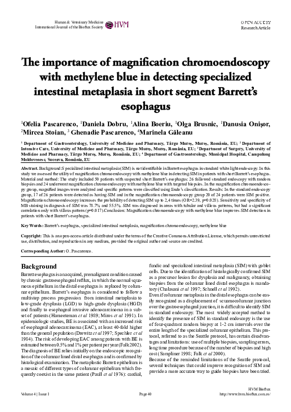 (PDF) The importance of magnification chromoendoscopy with methylene ...