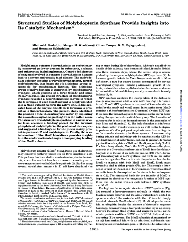 (PDF) Structural Studies of Molybdopterin Synthase Provide Insights ...