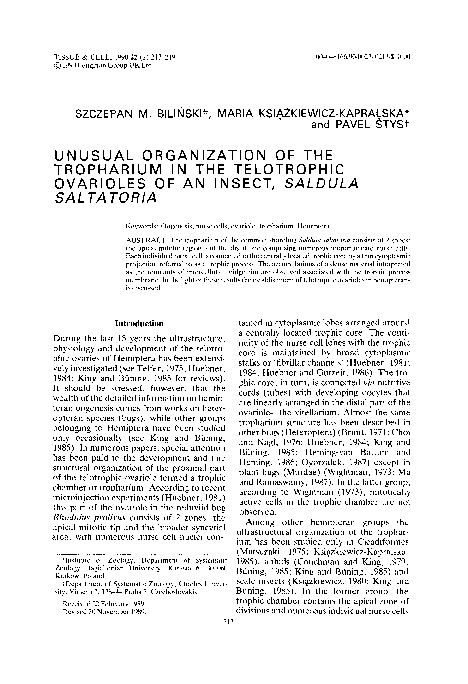 (PDF) Unusual organization of the tropharium in the telotrophic ...