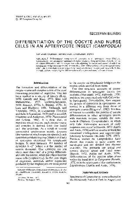 (PDF) Differentiation of the oocyte and nurse cells in an apterygote ...