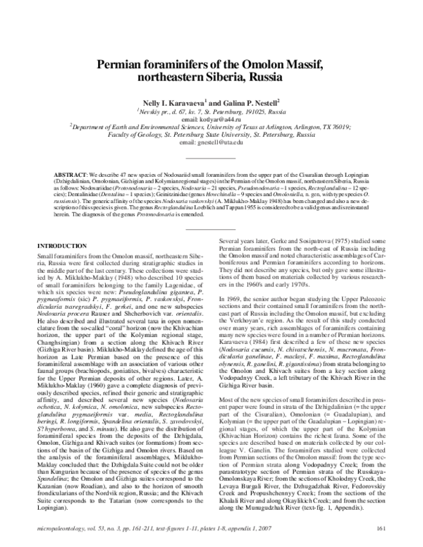 (PDF) Permian foraminifers of the Omolon Massif, northeastern Siberia ...