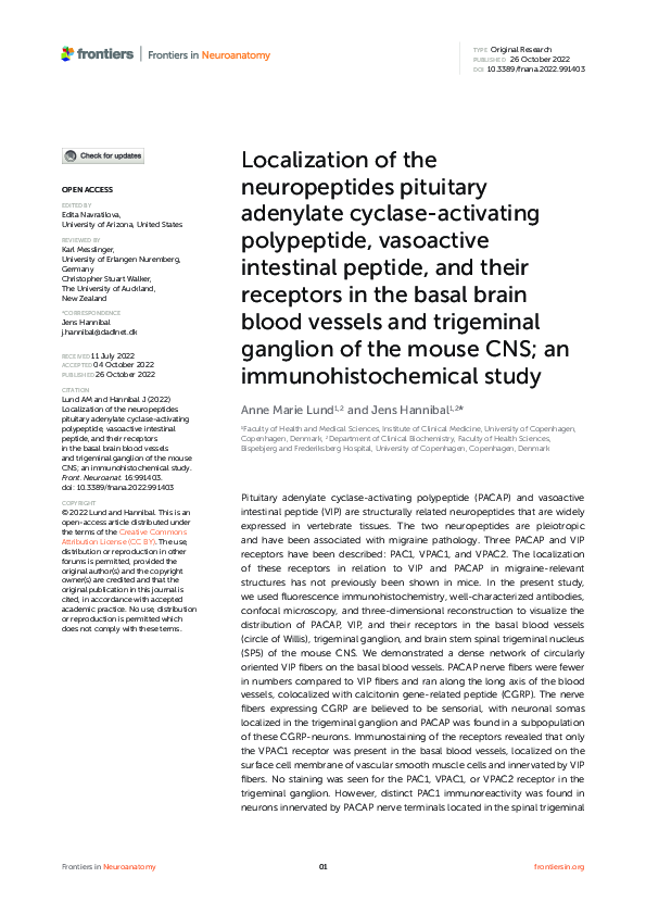 (PDF) Localization of the neuropeptides pituitary adenylate cyclase-activating polypeptide ...