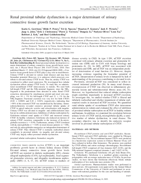 (PDF) Renal proximal tubular dysfunction is a major determinant of ...