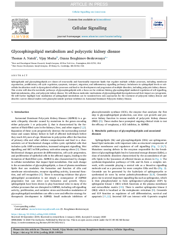 (PDF) Glycosphingolipid metabolism and polycystic kidney disease