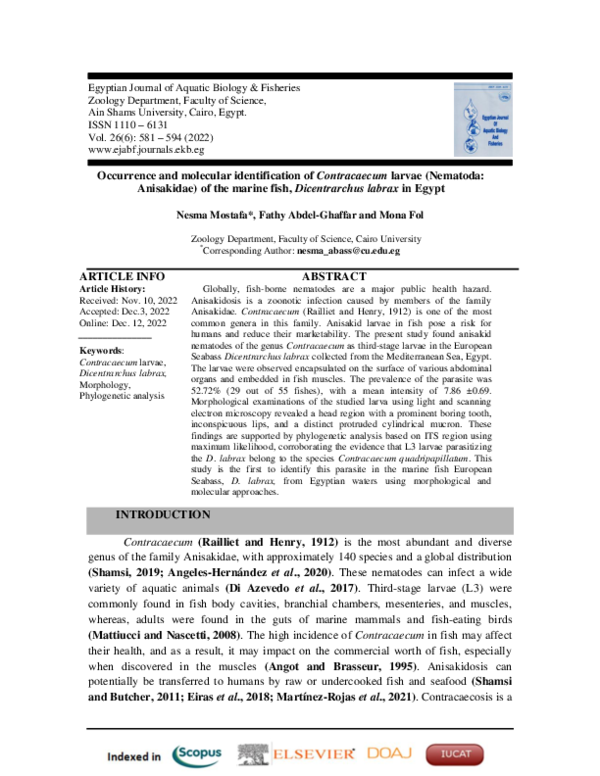 (PDF) Occurrence and molecular identification of Contracaecum larvae ...