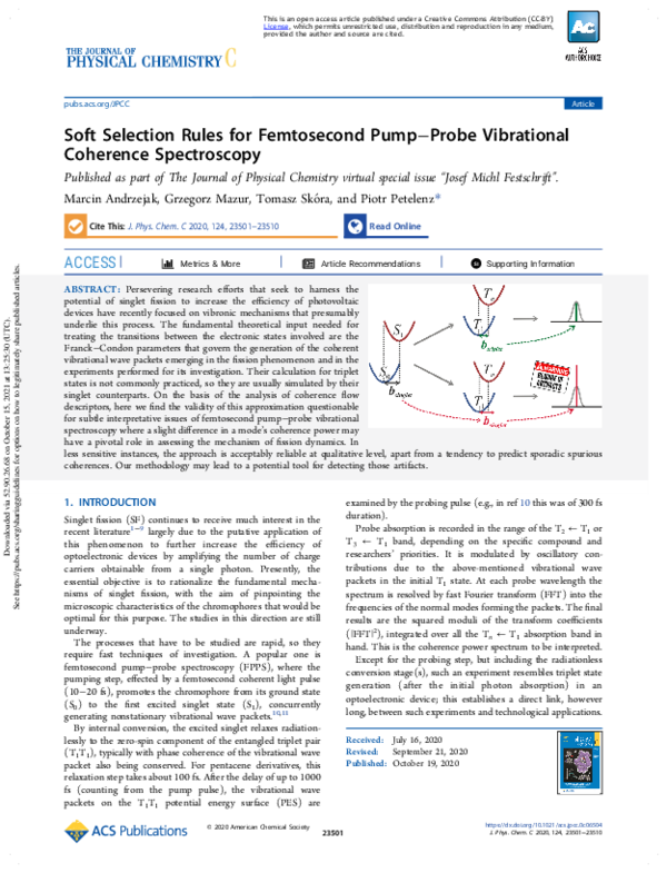 (PDF) Soft Selection Rules for Femtosecond PumpProbe Vibrational ...