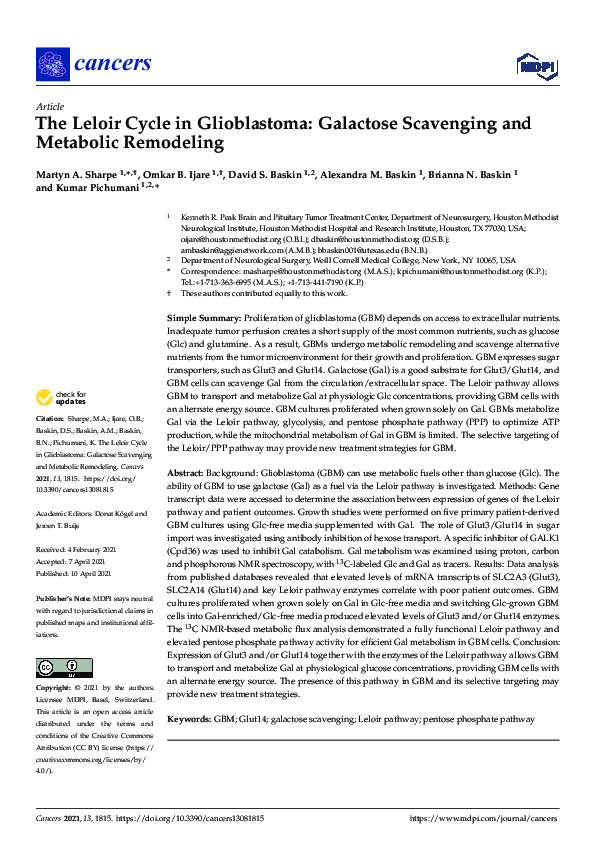 (PDF) The Leloir Cycle in Glioblastoma: Galactose Scavenging and ...