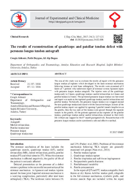 (PDF) Tensile strength comparison between hamstring tendon, patellar ...