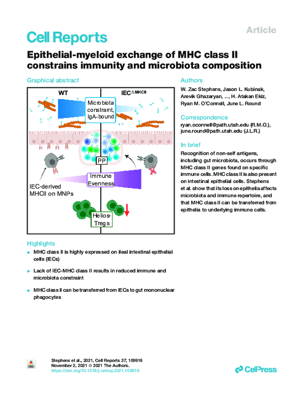 (PDF) Epithelial-myeloid exchange of MHC class II constrains immunity ...