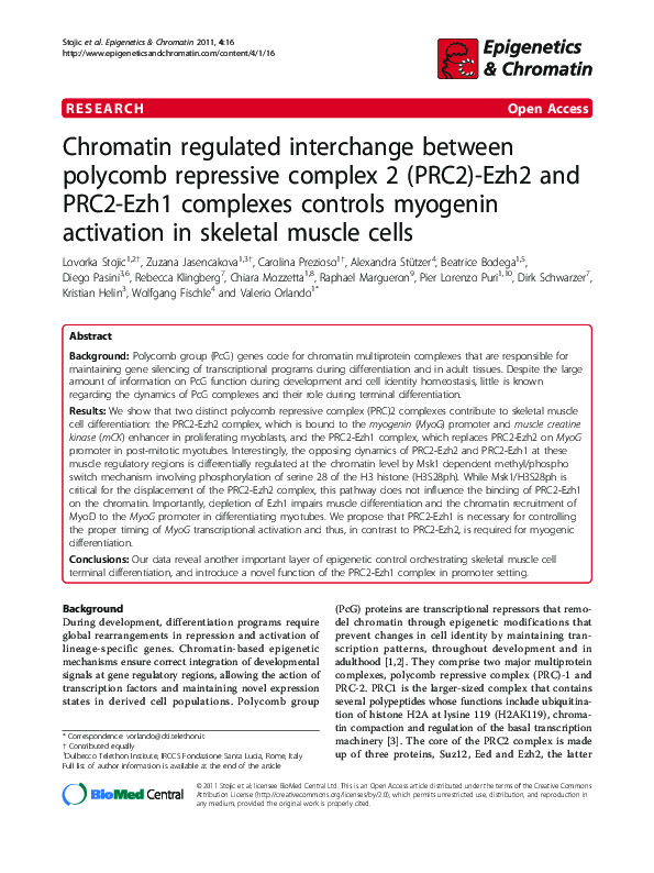 (PDF) Chromatin regulated interchange between polycomb repressive complex 2 (PRC2)-Ezh2 and PRC2 ...