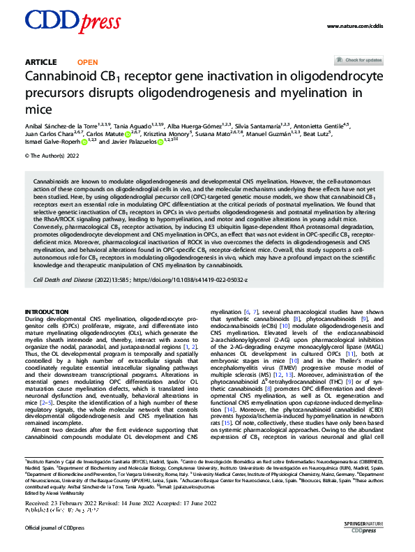(PDF) Cannabinoid CB1 receptor gene inactivation in oligodendrocyte precursors disrupts ...