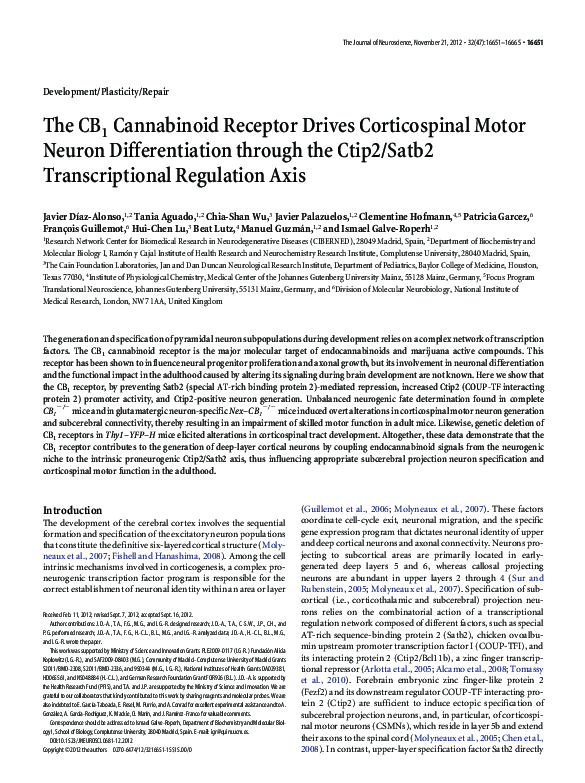 (PDF) The CB1 Cannabinoid Receptor Drives Corticospinal Motor Neuron Differentiation through the ...
