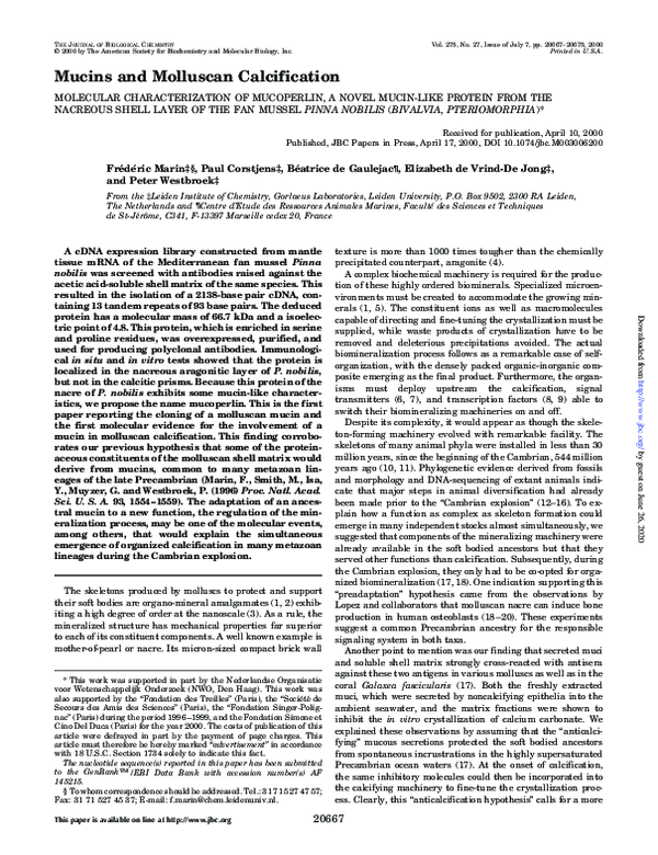 (PDF) Mucins and Molluscan Calcification