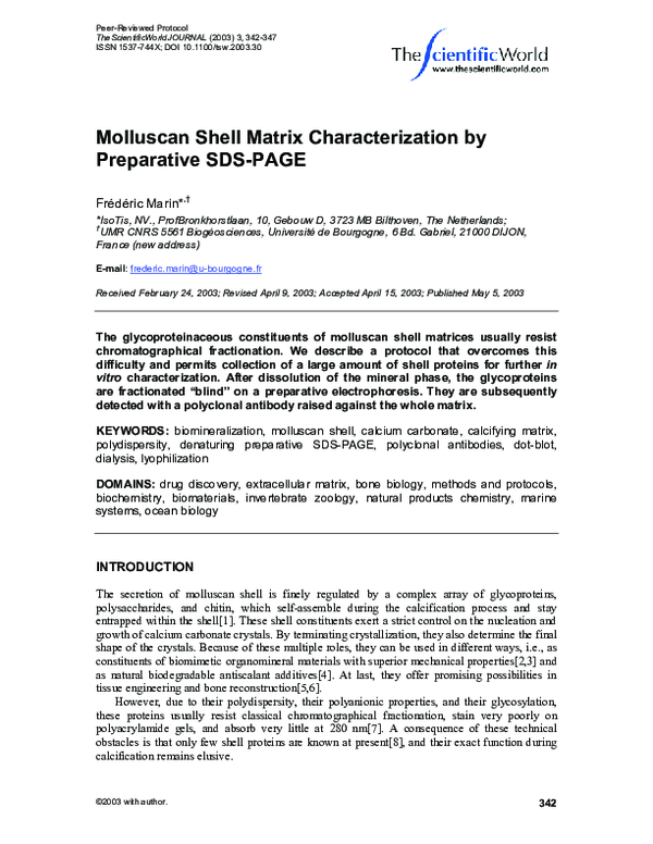 (PDF) Molluscan Shell Matrix Characterization by Preparative SDS-PAGE