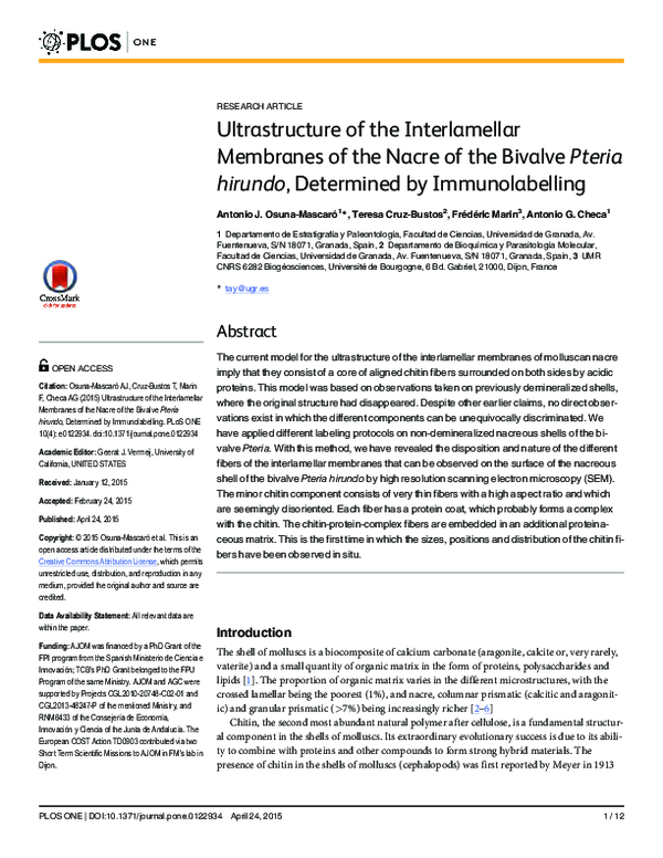 (PDF) Ultrastructure of the Interlamellar Membranes of the Nacre of the ...