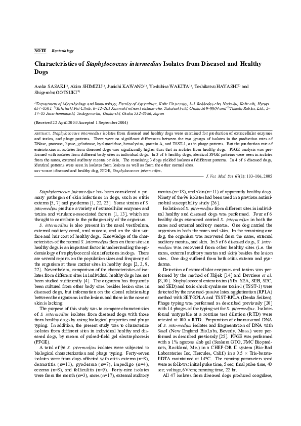 (PDF) Characteristics of Staphylococcus intermedius Isolates from ...