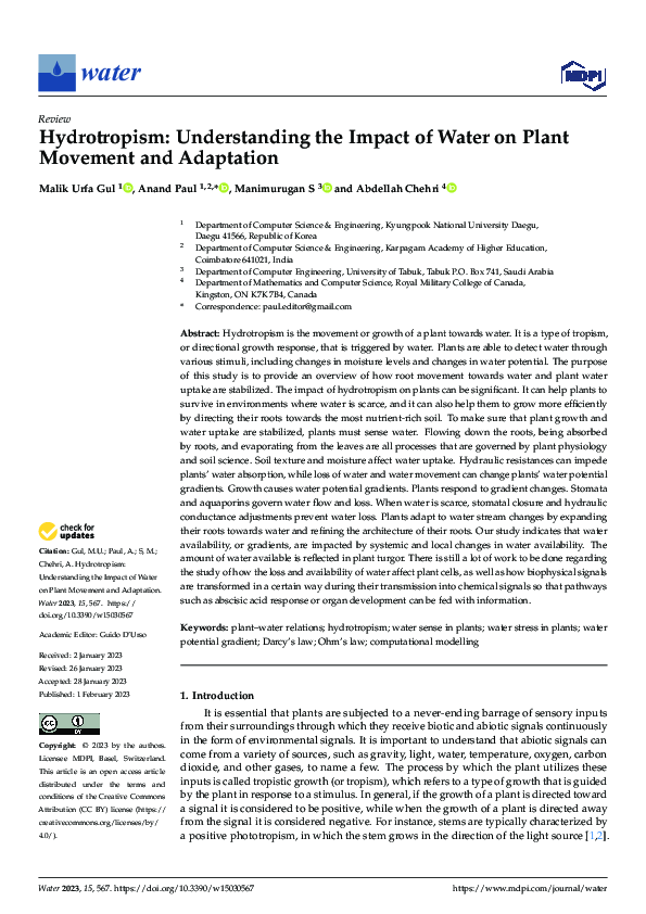 (PDF) Hydrotropism: Understanding the Impact of Water on Plant Movement ...