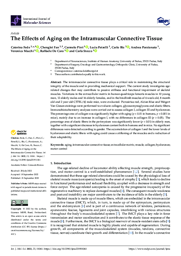 (PDF) The Effects of Aging on the Intramuscular Connective Tissue