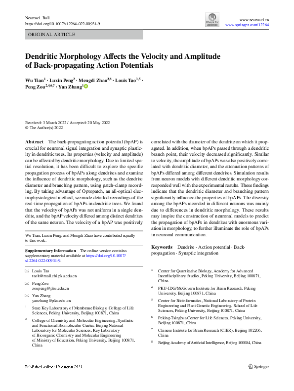 Pdf Dendritic Morphology Affects The Velocity And Amplitude Of Back Propagating Action Potentials