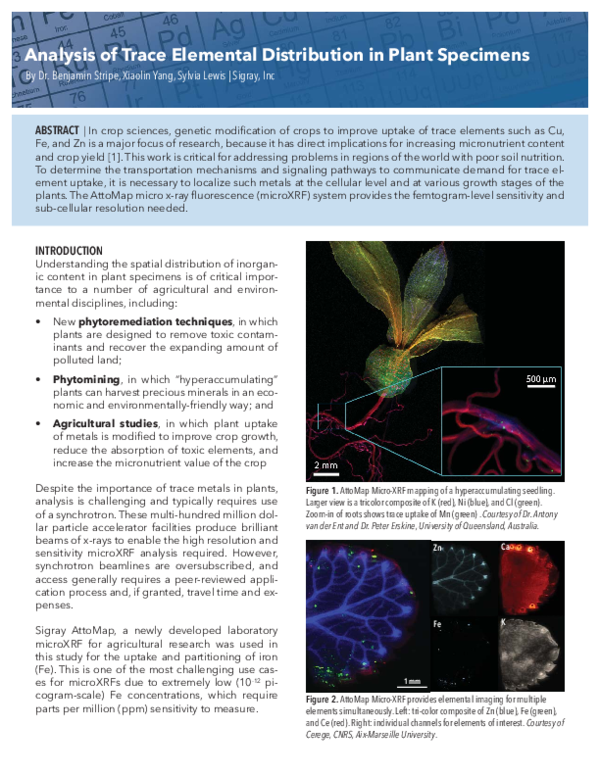 (PDF) Analysis of Trace Elemental Distribution in Plant Specimens