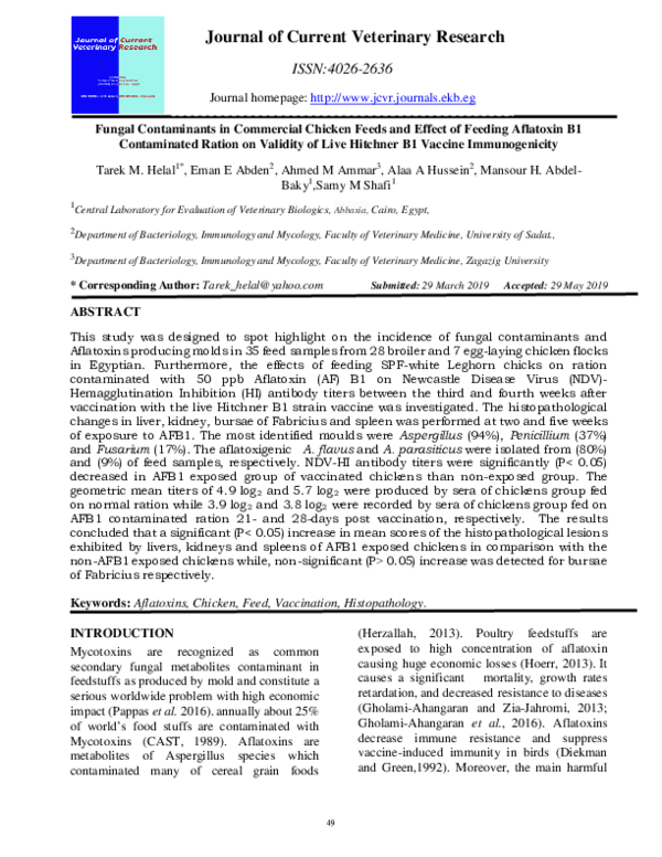 (PDF) Fungal Contaminants in Commercial Chicken Feeds and Effect of ...