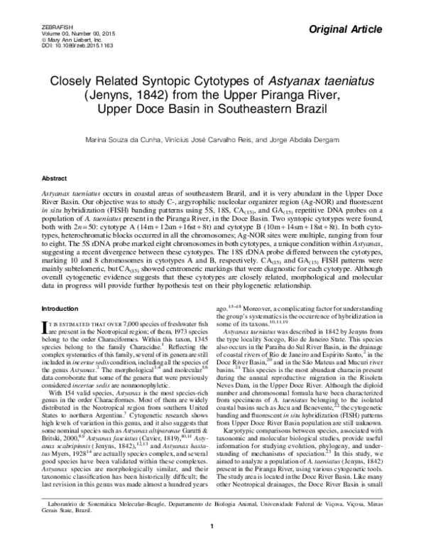 (PDF) Closely Related Syntopic Cytotypes of Astyanax taeniatus (Jenyns, 1842) from the Upper ...