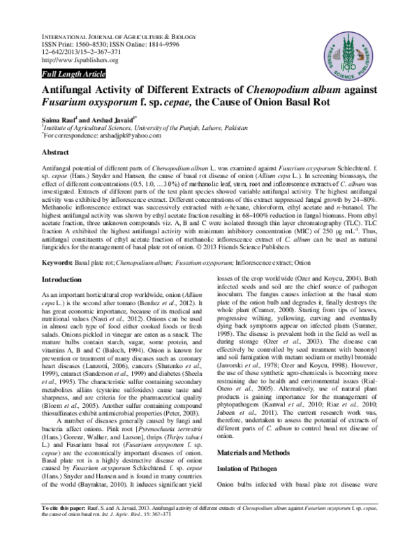 Pdf Antifungal Activity Of Different Extracts Of Chenopodium Album