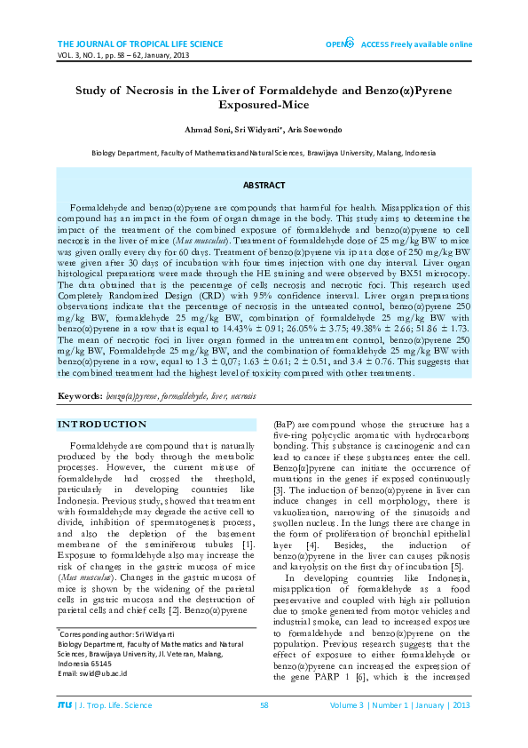 (PDF) Study of Necrosis in the Liver of Formaldehyde and Benzo(α)Pyrene ...