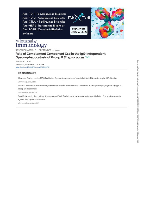 (PDF) Role of Complement Component C1q in the IgG-Independent ...