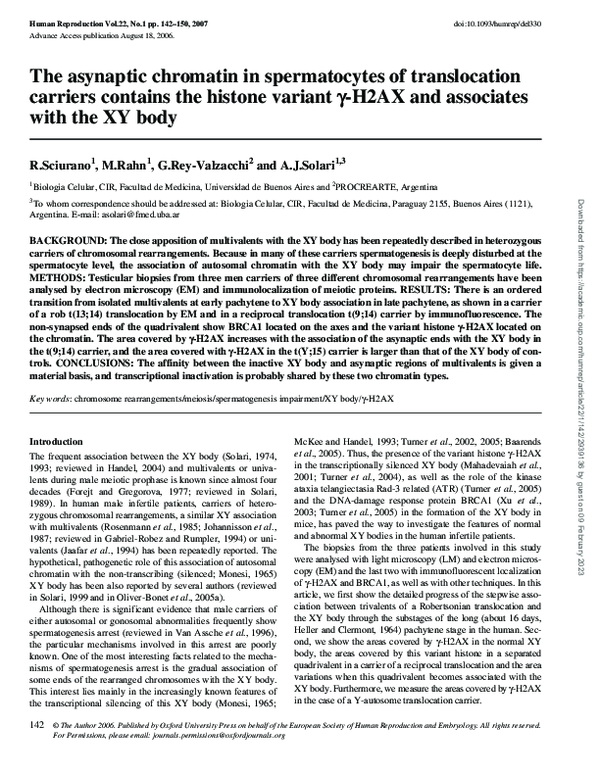 (PDF) The asynaptic chromatin in spermatocytes of translocation ...