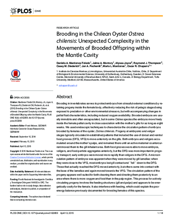 (PDF) Brooding in the Chilean Oyster Ostrea chilensis: Unexpected ...