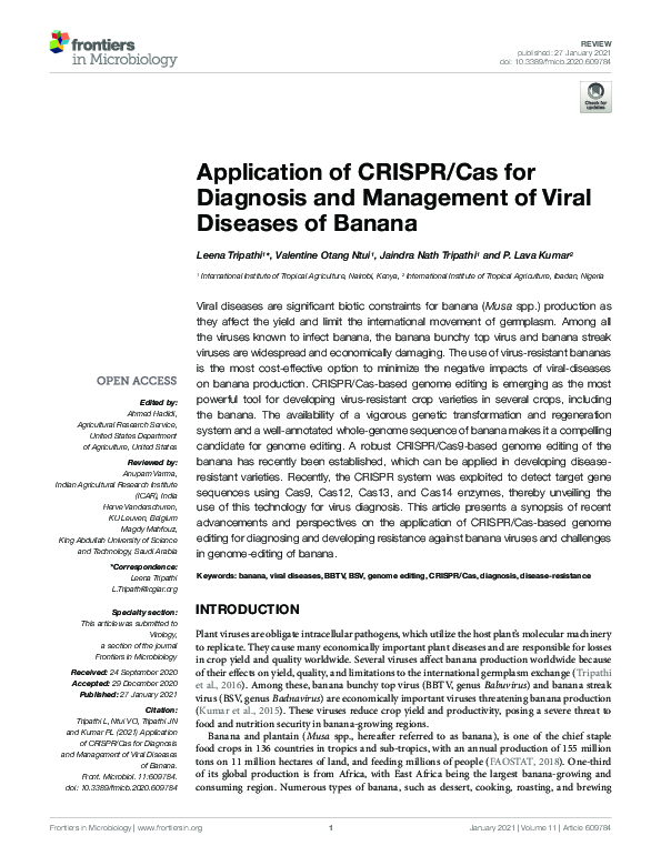 (PDF) Application of CRISPR/Cas for Diagnosis and Management of Viral Diseases of Banana