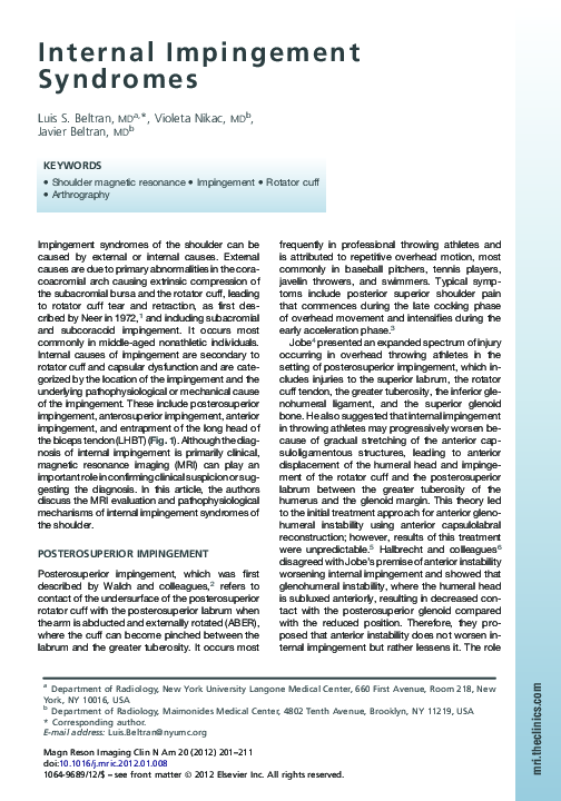 (PDF) Internal Impingement Syndromes