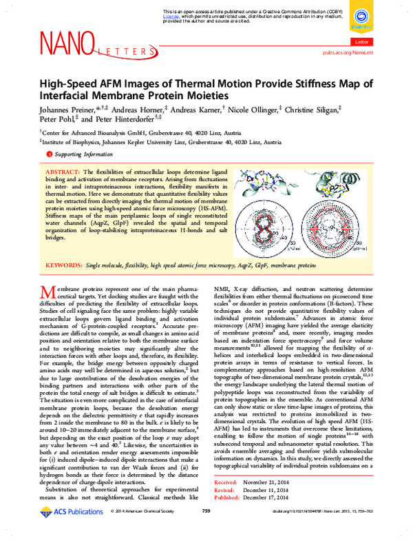 (PDF) High-speed AFM images of thermal motion provide stiffness map of ...