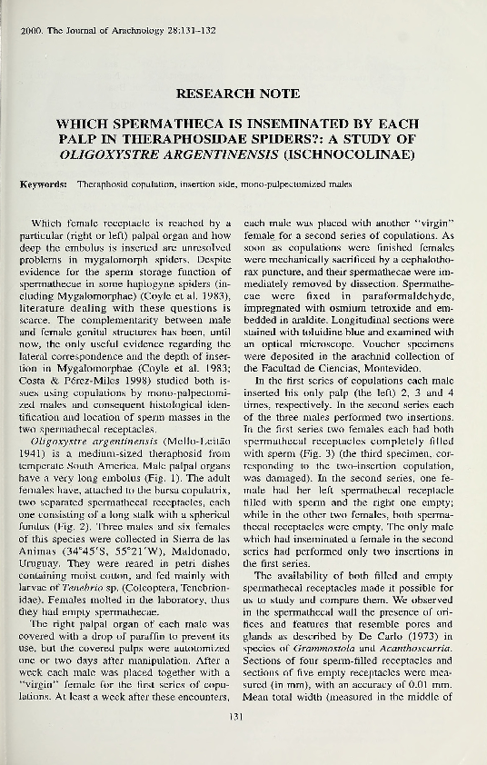 (PDF) Which Spermatheca is Inseminated by Each Palp in Theraphosidae ...