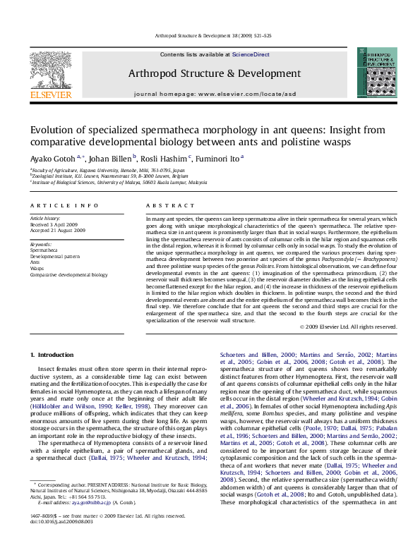 (PDF) Evolution of specialized spermatheca morphology in ant queens ...