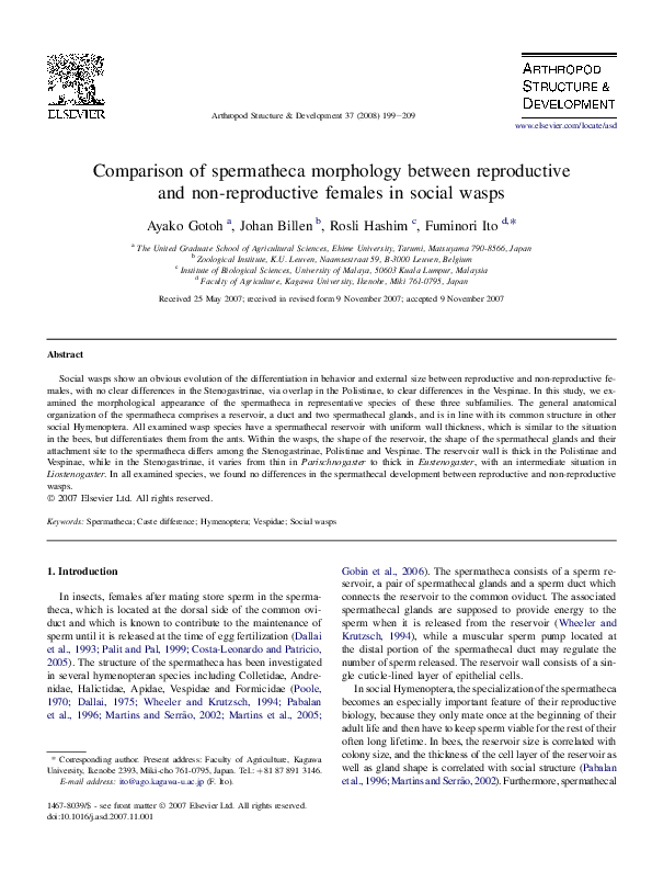 (PDF) Comparison of spermatheca morphology between reproductive and non ...