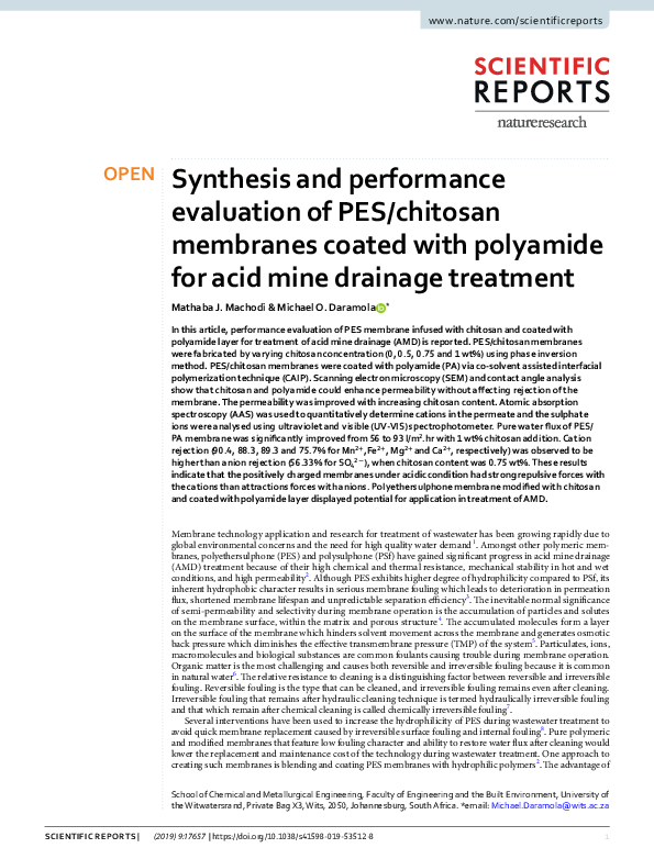 (PDF) Synthesis and performance evaluation of PES/chitosan membranes ...