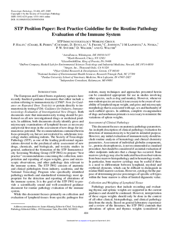 (PDF) System STP Position Paper: Best Practice Guideline for the ...