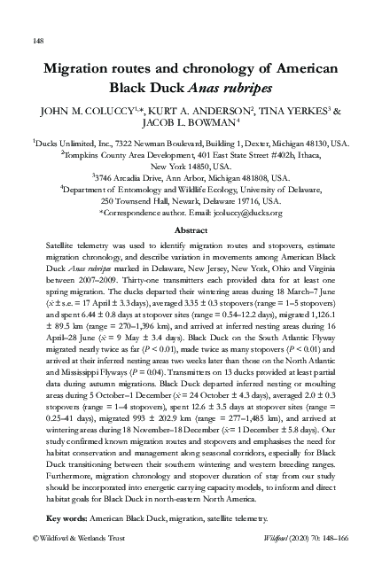 (PDF) Migration routes and chronology of American Black Duck Anas rubripes