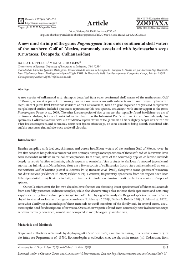 (PDF) A new mud shrimp of the genus Pugnatrypaea from outer continental ...