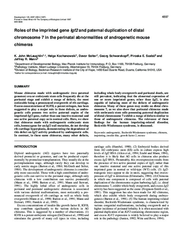 (PDF) Roles of the imprinted gene Igf2 and paternal duplication of ...