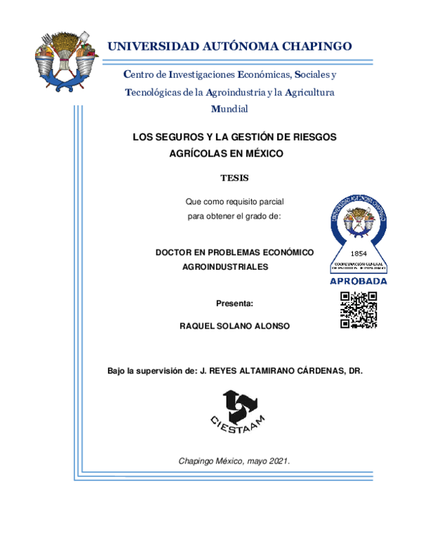 (PDF) Tesis Chapingo