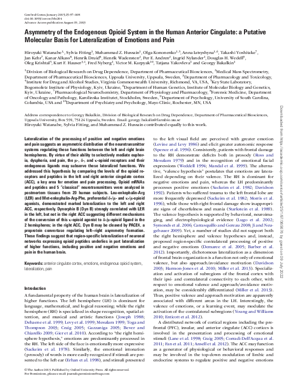 (PDF) Asymmetry of the Endogenous Opioid System in the Human Anterior ...