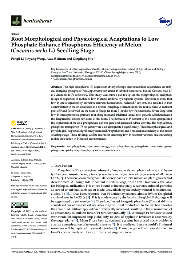 (PDF) Root Morphological and Physiological Adaptations to Low Phosphate ...
