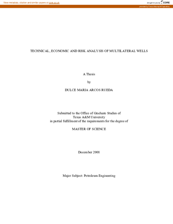 (PDF) Technical, economic and risk analysis of multilateral wells